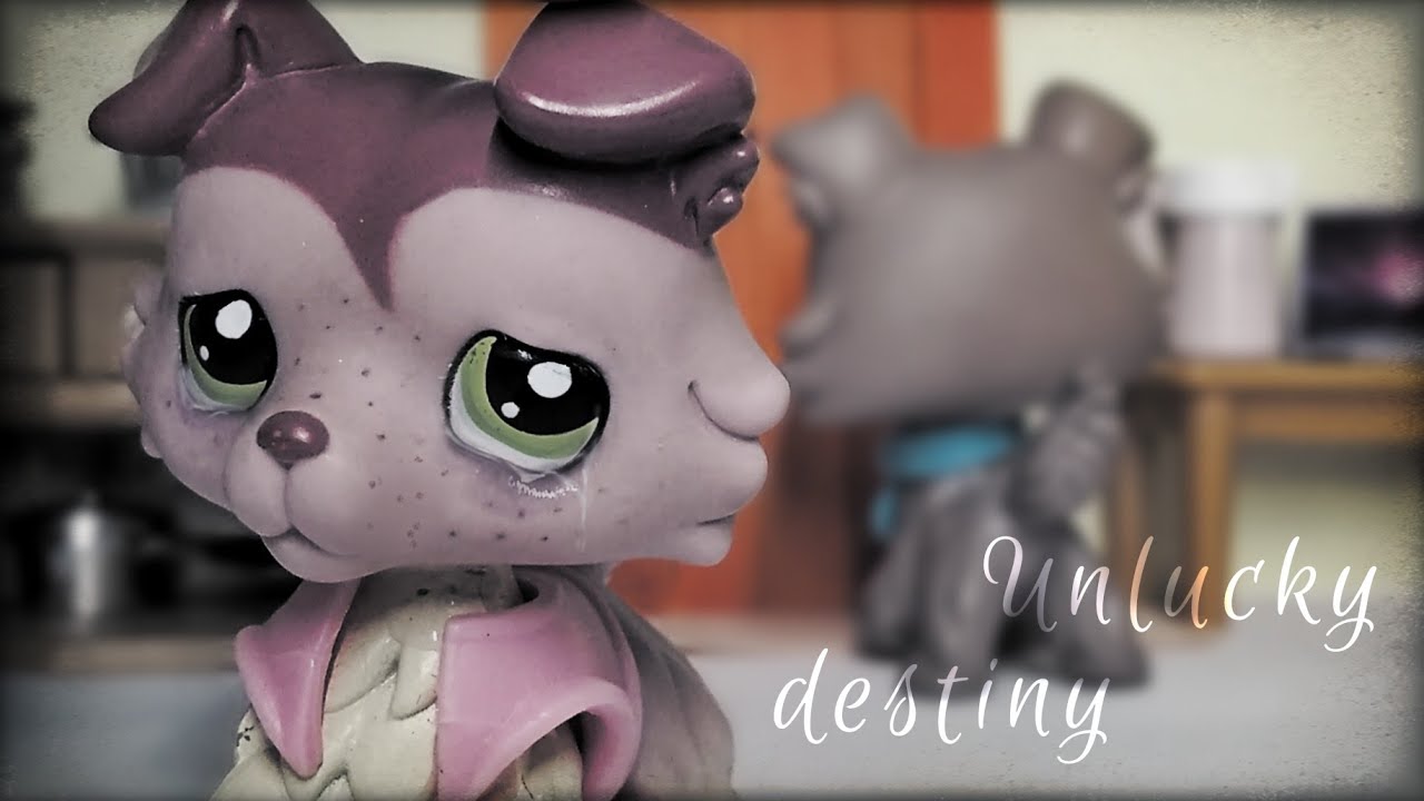 LPS ~ Short Film × Unlucky destiny × [ Fight of quarreling hearts 2 ...