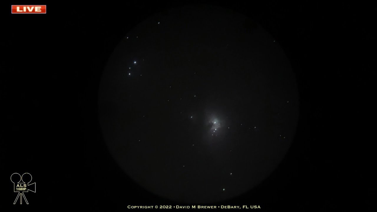🌟 Orion Nebula Live From DeBary, Florida USA 🌟 - YouTube