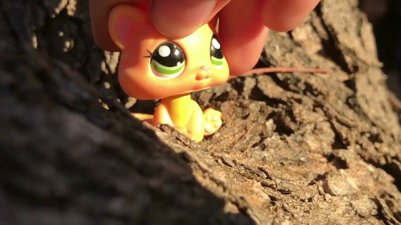 "LPS: MV On My Way" Fan Video - YouTube