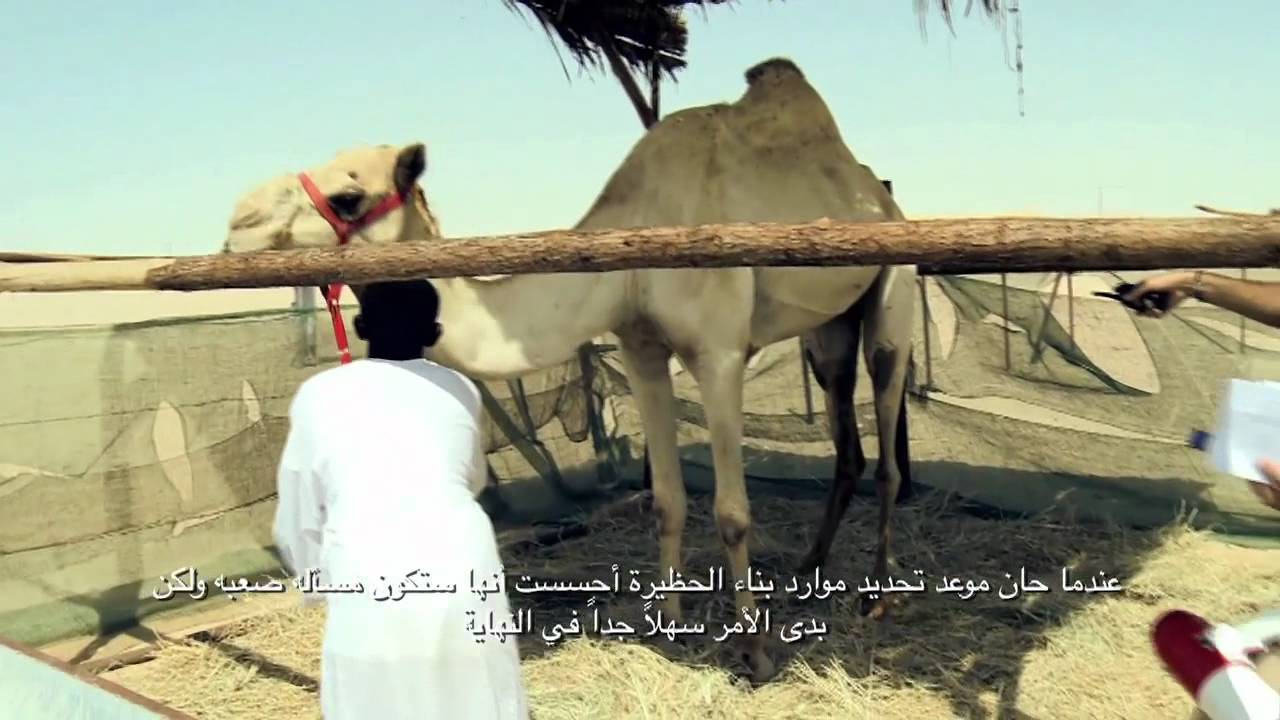 creative lab: making of the camel stable from the pillars - YouTube