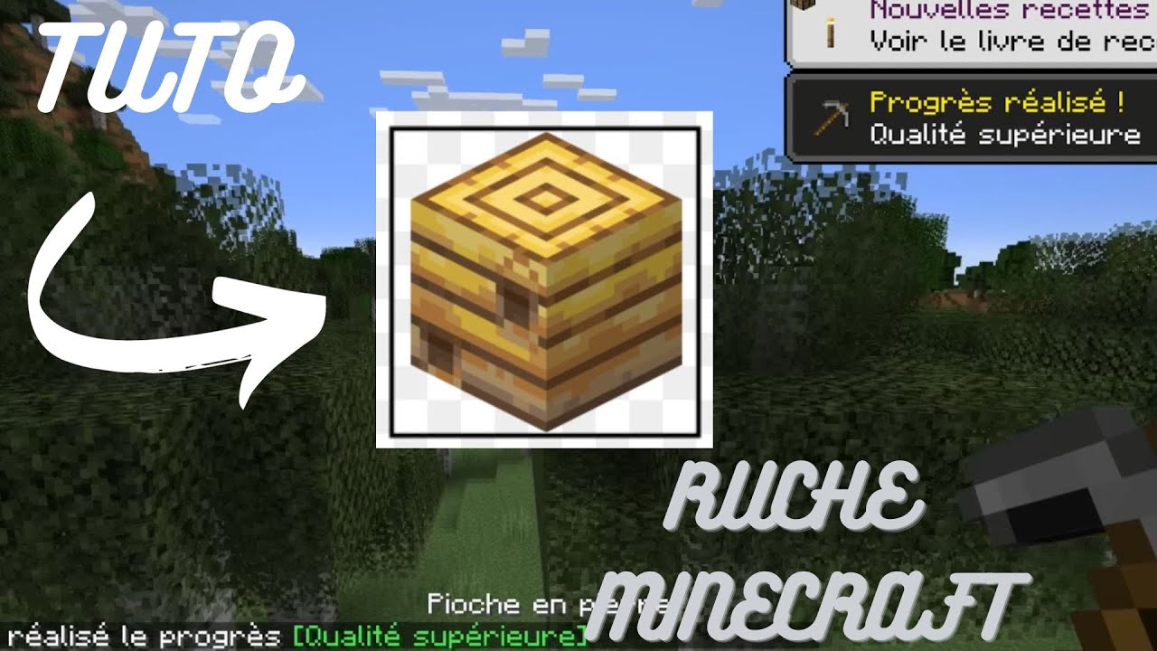TUTO COMMENT FAIRE UNE RUCHE POUR DU MIEL (tuto débutant) Tutoriel ...