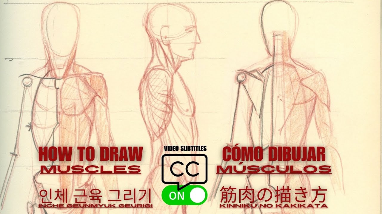 How to Draw Muscles: A Figure Drawing Foundation Course (extract) - YouTube