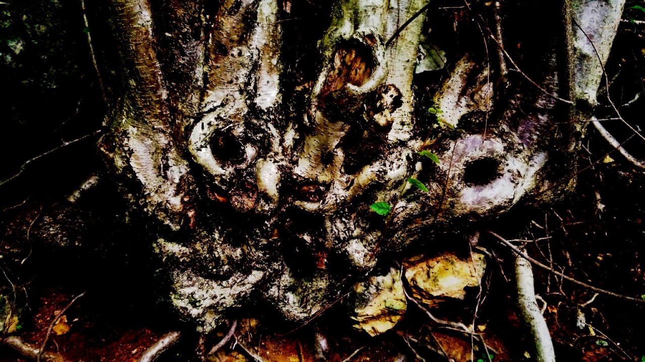 Cosmo Interiore / Ambient, Dark Ambient, Soundscape - YouTube