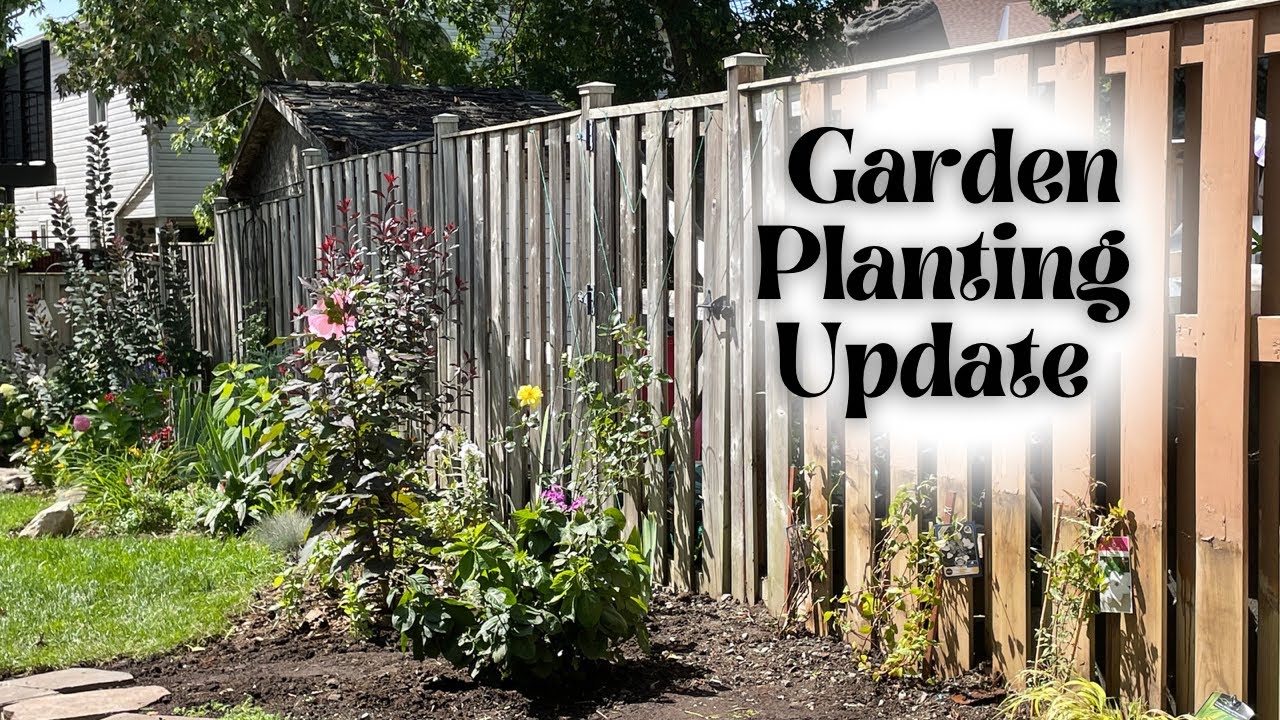 Garden Planting Update - YouTube