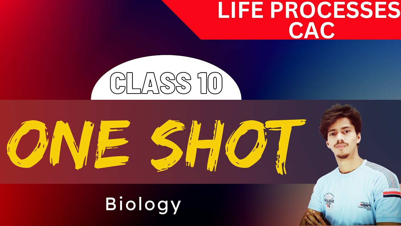 One Shot Life Processes And Cac Class 10 Bio Board Special Amit Singh Ars Mrkc Mrkcians