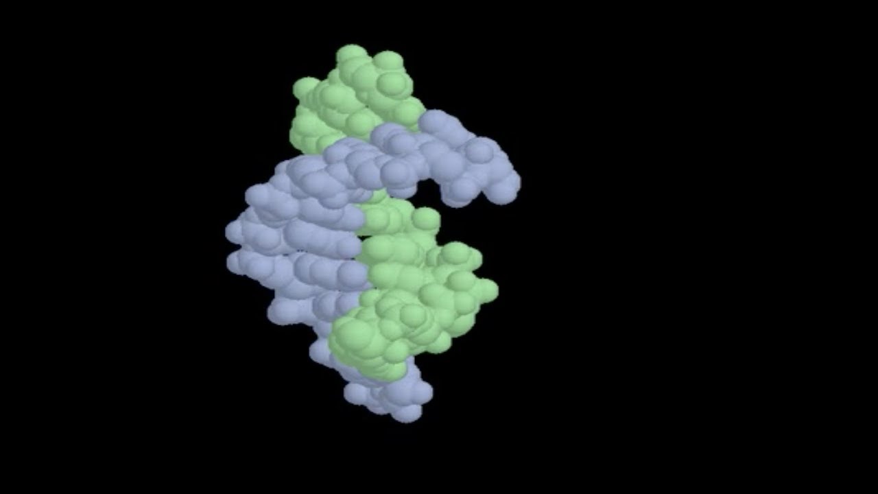 Movie 07.1 RNA Structure - YouTube