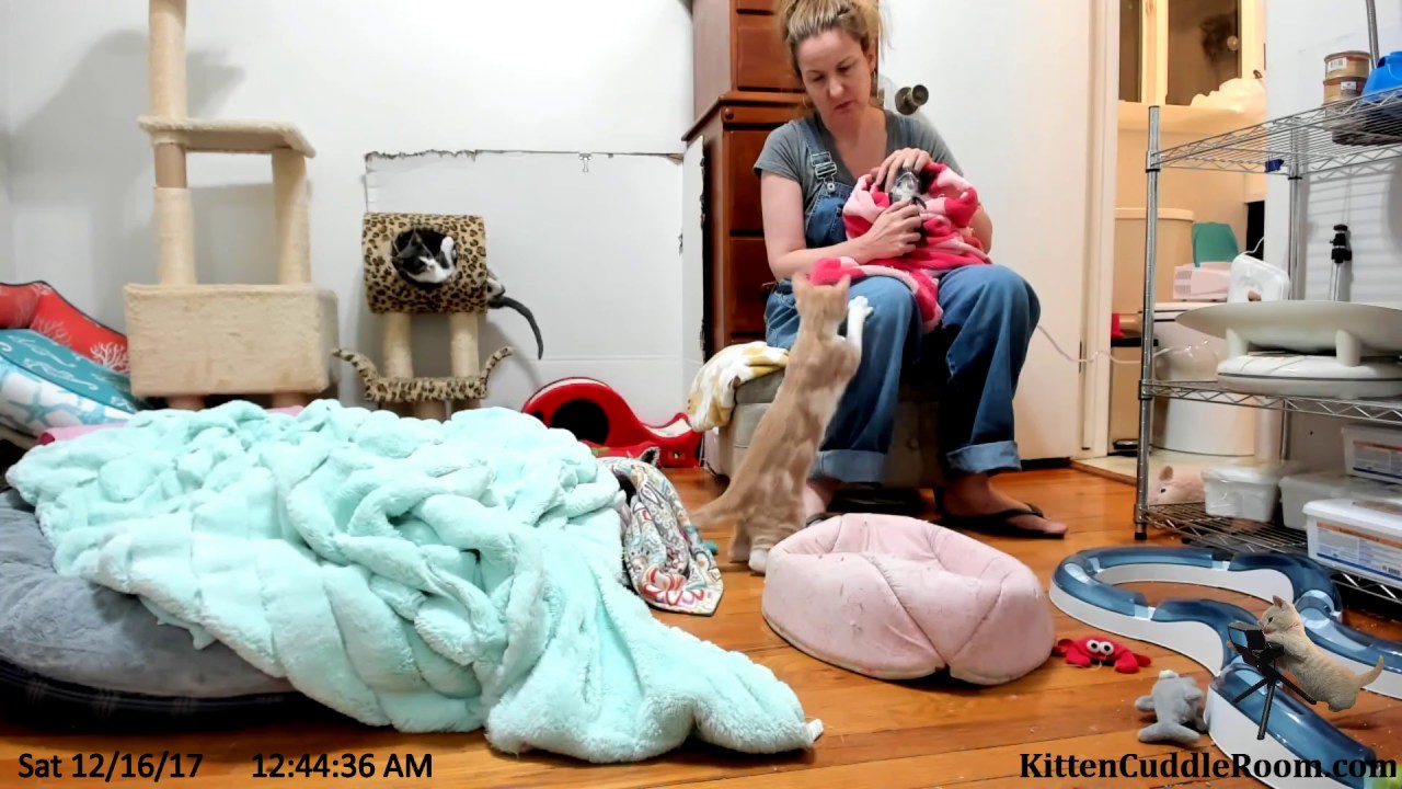 Giving my Foster kitten Nala her breathing treatment with a nebulizer ...