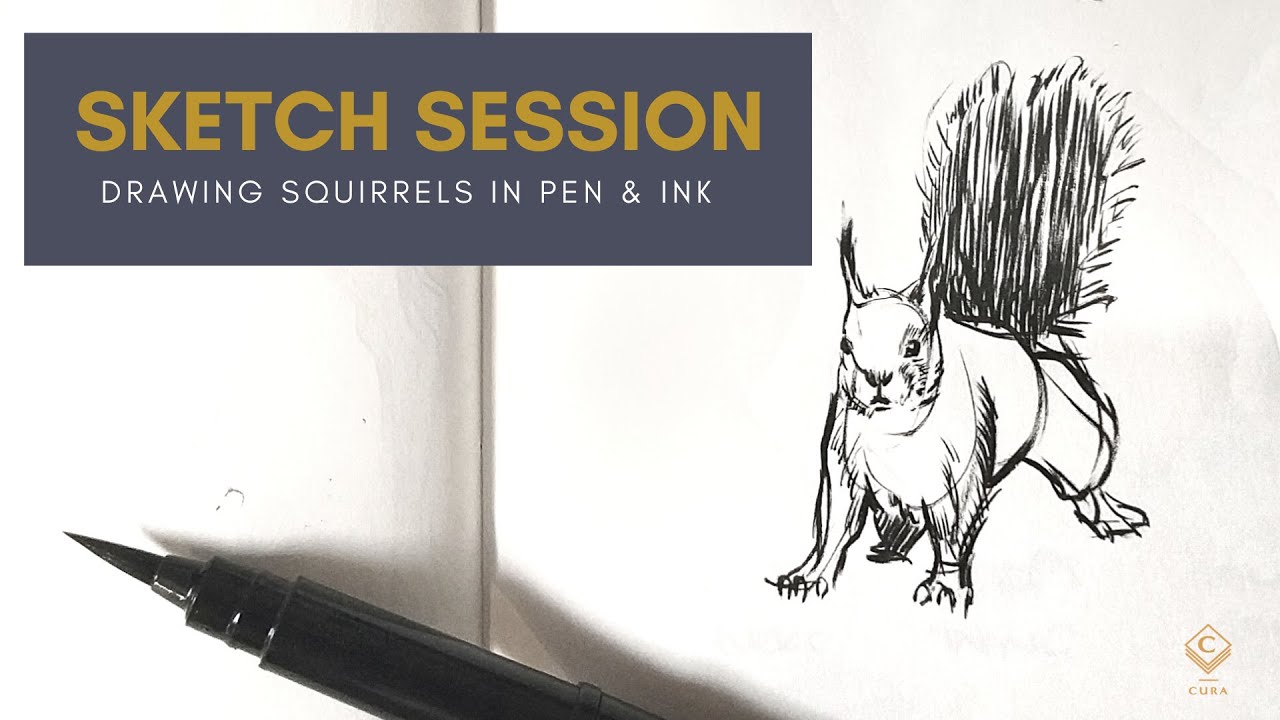 Sketching Squirrels in Pen and Ink (road trip edition) - YouTube