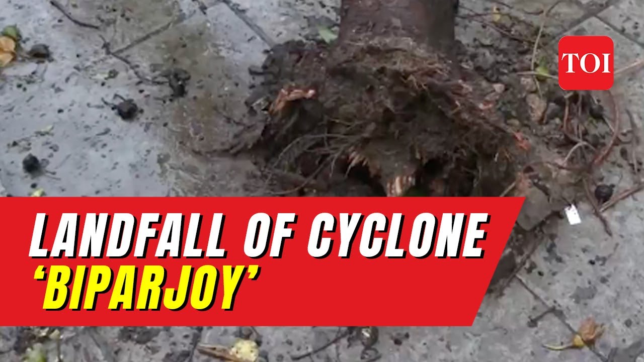 Cyclone Biparjoy landfall alert: Storm uproots trees; flooding, power ...