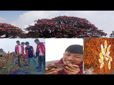 TEMKE DANDA//HAMRO RAMAILO YATRA/😊// - YouTube
