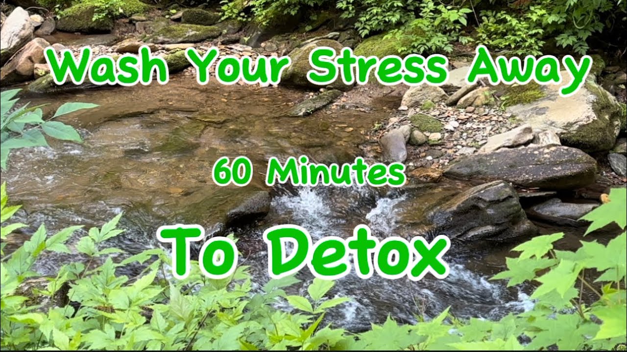 Wash Your Stress Away 60 Minutes To Detox Youtube