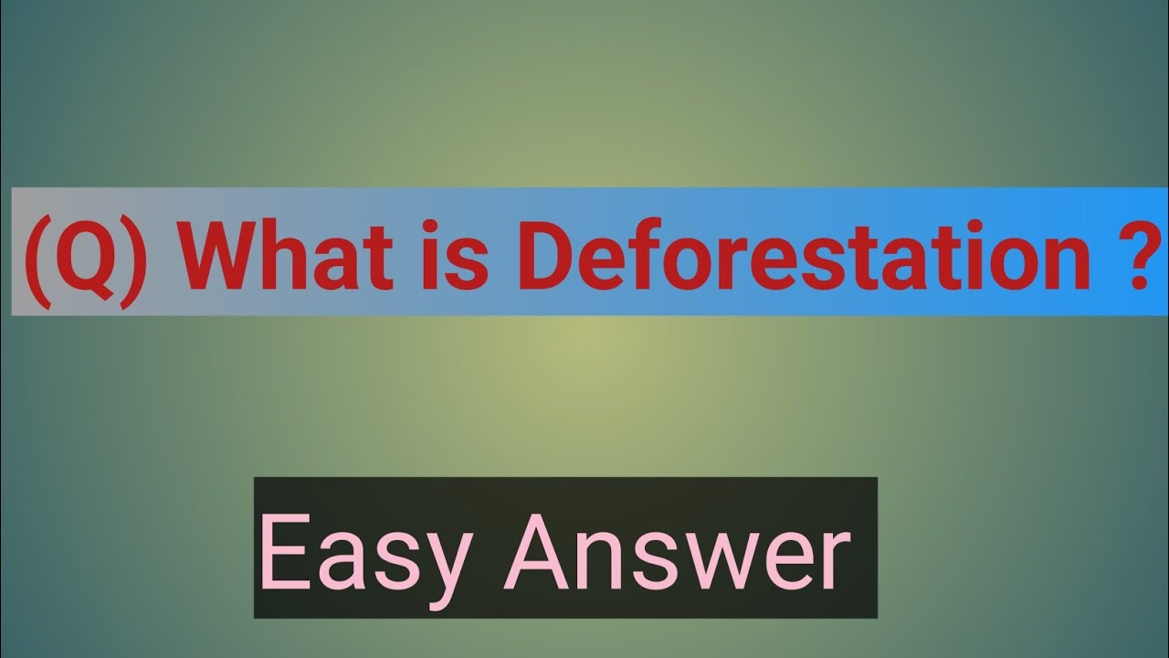 (Q) What is Deforestation ? | Easy Answer for Students . - YouTube
