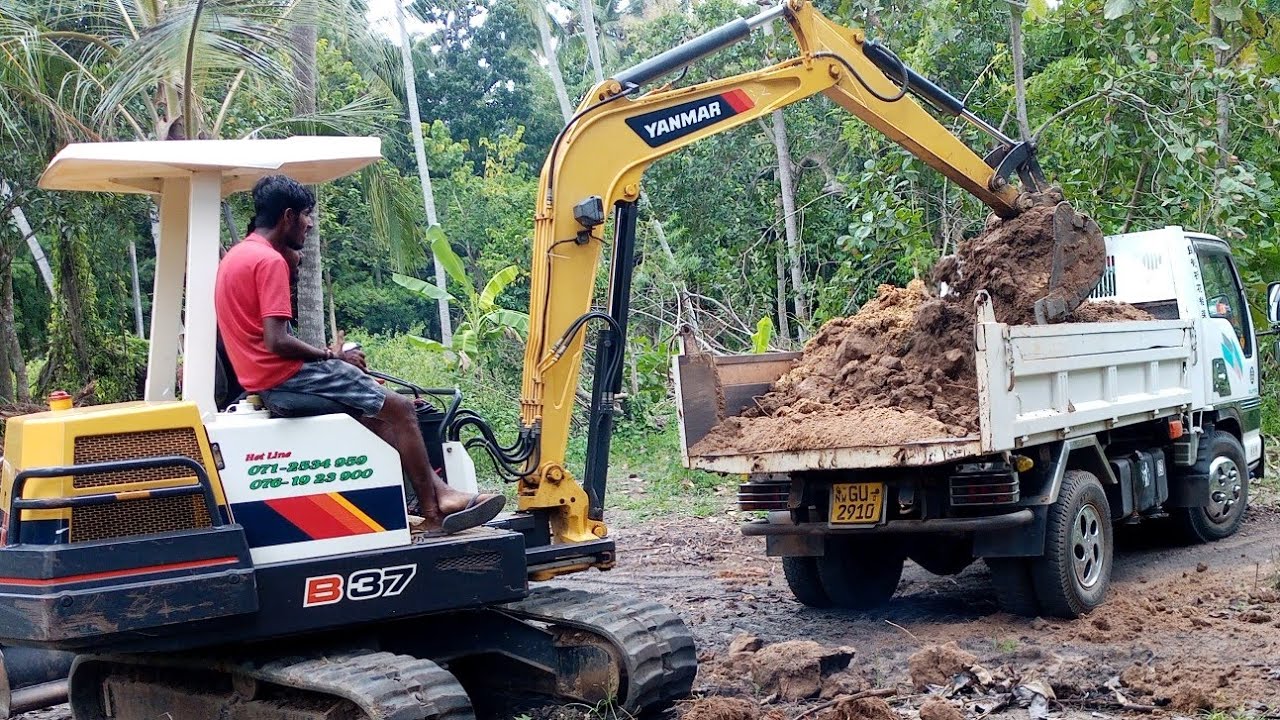 Excavator loading track and operating view | backhoe | short - YouTube
