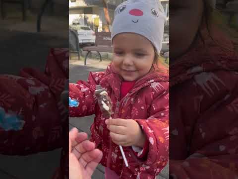 Cute🌸 #طيور_الجنة_بيبي #طيور_الجنة #toyoraljanahtv #طيور_بيبي #shots