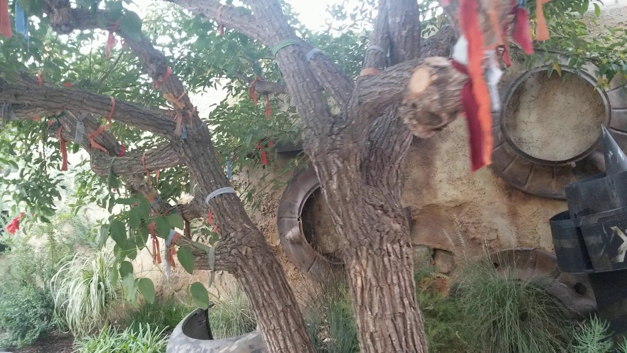 The Trilon Wishing Tree of Battu - YouTube