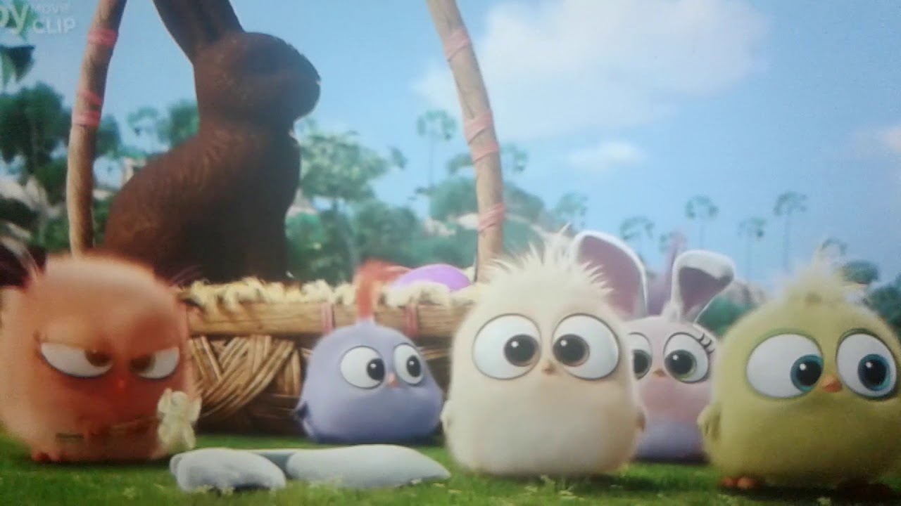 Every Hatchlings has its day part 2 - YouTube