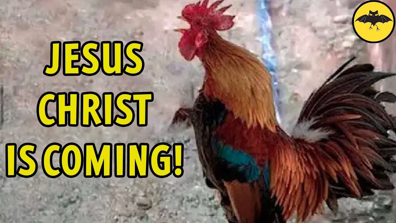 6 Animals Talking Caught on Camera & Spotted in Real Life. - YouTube