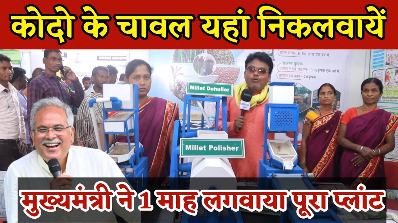 कोदो के चावल यहां निकलवायें।। Kodo Se Chawal Yahan Se Nikalta Hai - YouTube