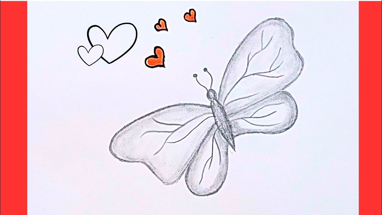 How to draw beautiful Butterfly//Pencil sketch drawing - YouTube