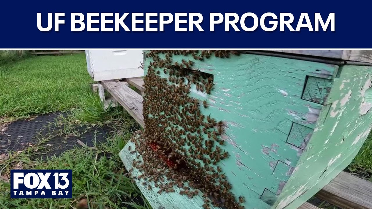 Florida Beekeepers get boost on World Honey Bee Day - YouTube