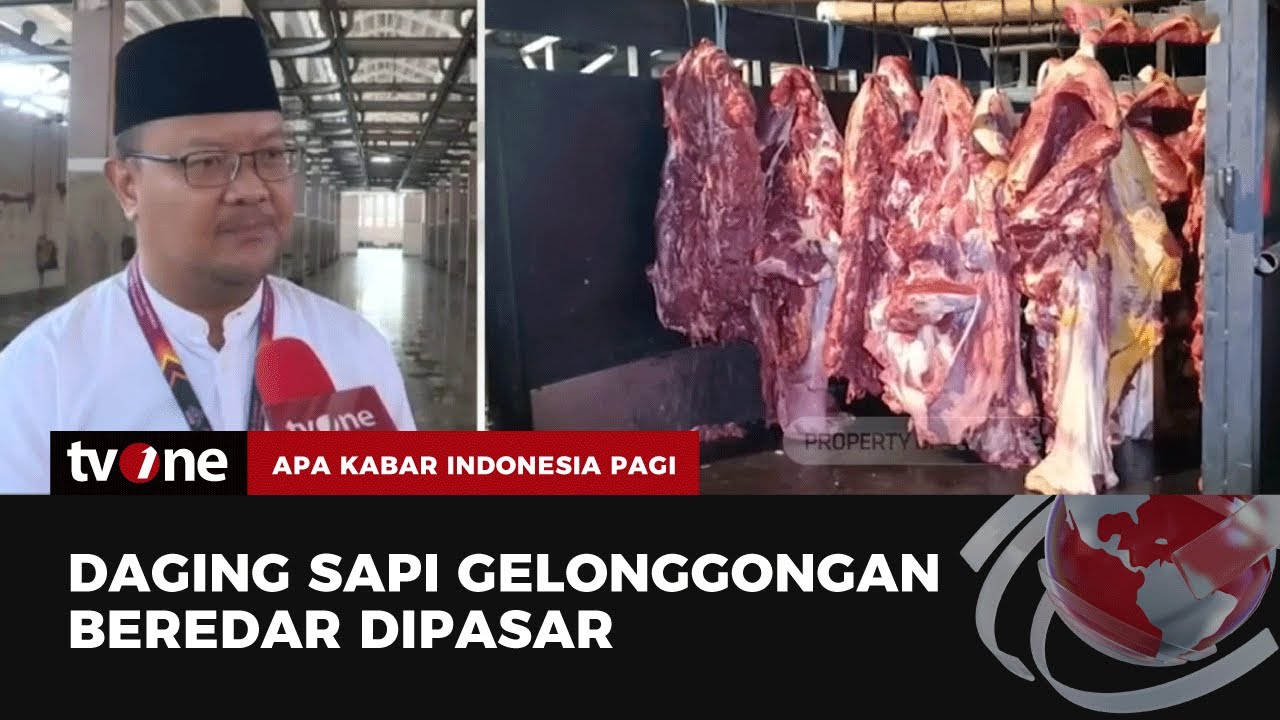RPH Surabaya Tindak Lanjut Peredaran Daging Sapi Gelonggongan di Pasar ...