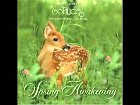 Spring Awakening - Dan Gibson's Solitudes [Full Album] - YouTube