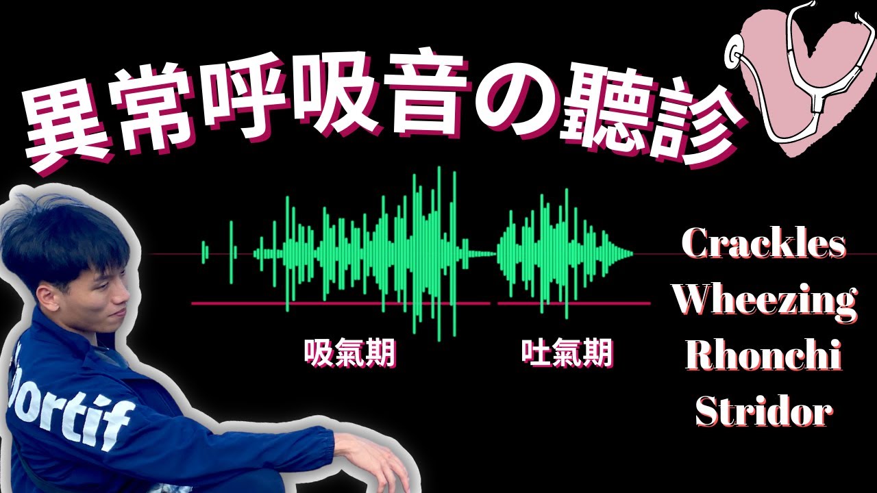 《異常呼吸音の評估》臨床音檔搭配聽診位置！Crackles、Wheezing、Stridor、Rhonchi！吸氣期/吐氣期、聲音性質 ...