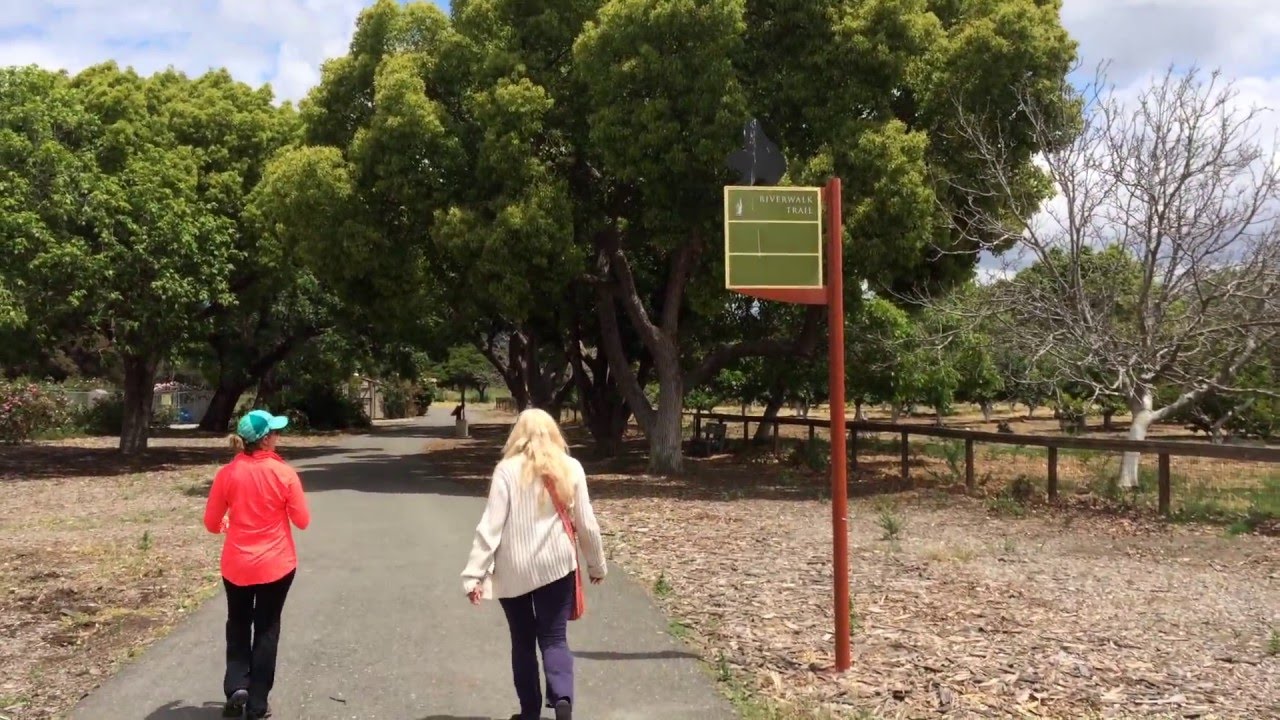 NAMIWalks Silicon Valley Trail - YouTube