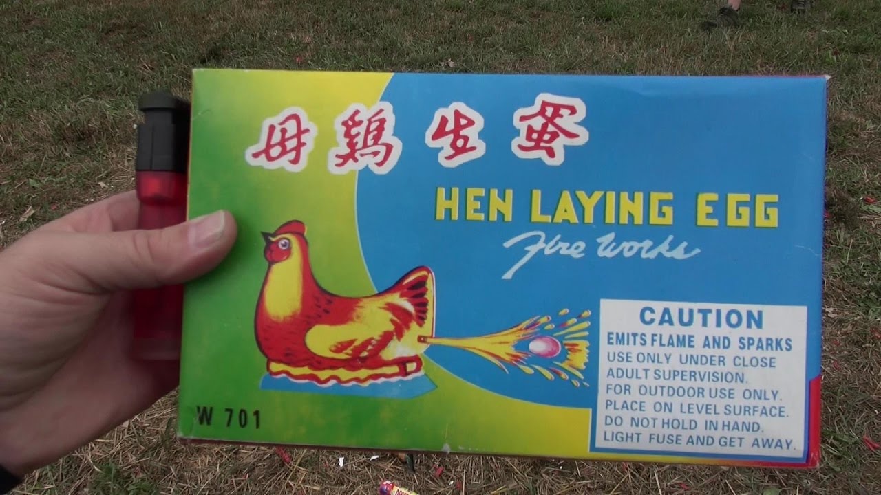HEN LAYING EGG - NOVELTY FIREWORKS - YouTube