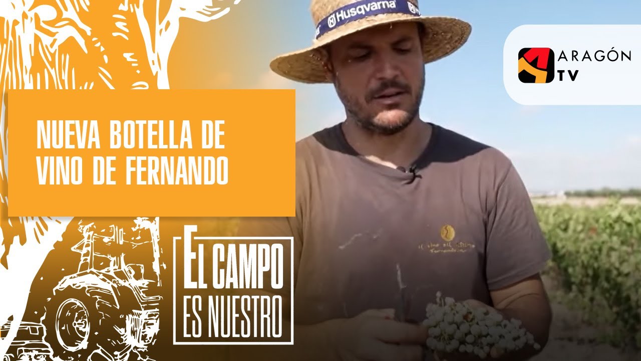 Mucha tela esta nueva botella de vino de Fernando - YouTube