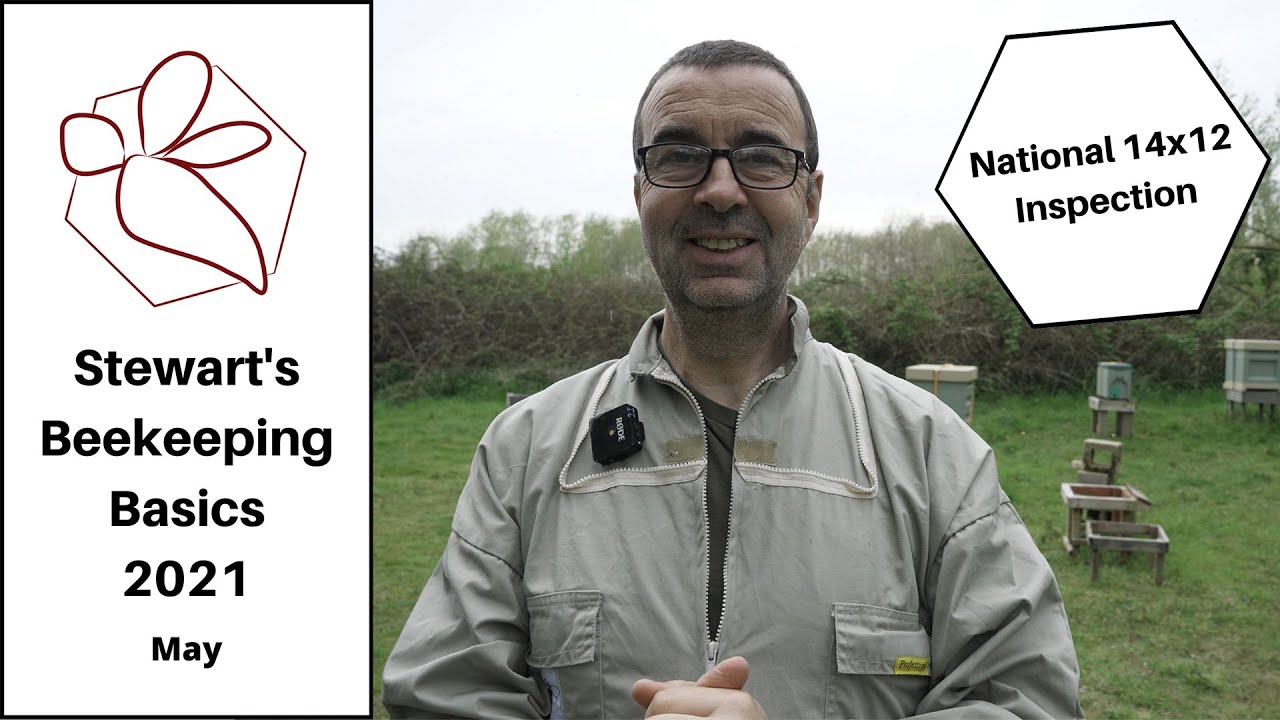 National 14x12 Hive Inspection - Stewart Spinks at The Norfolk Honey Co ...