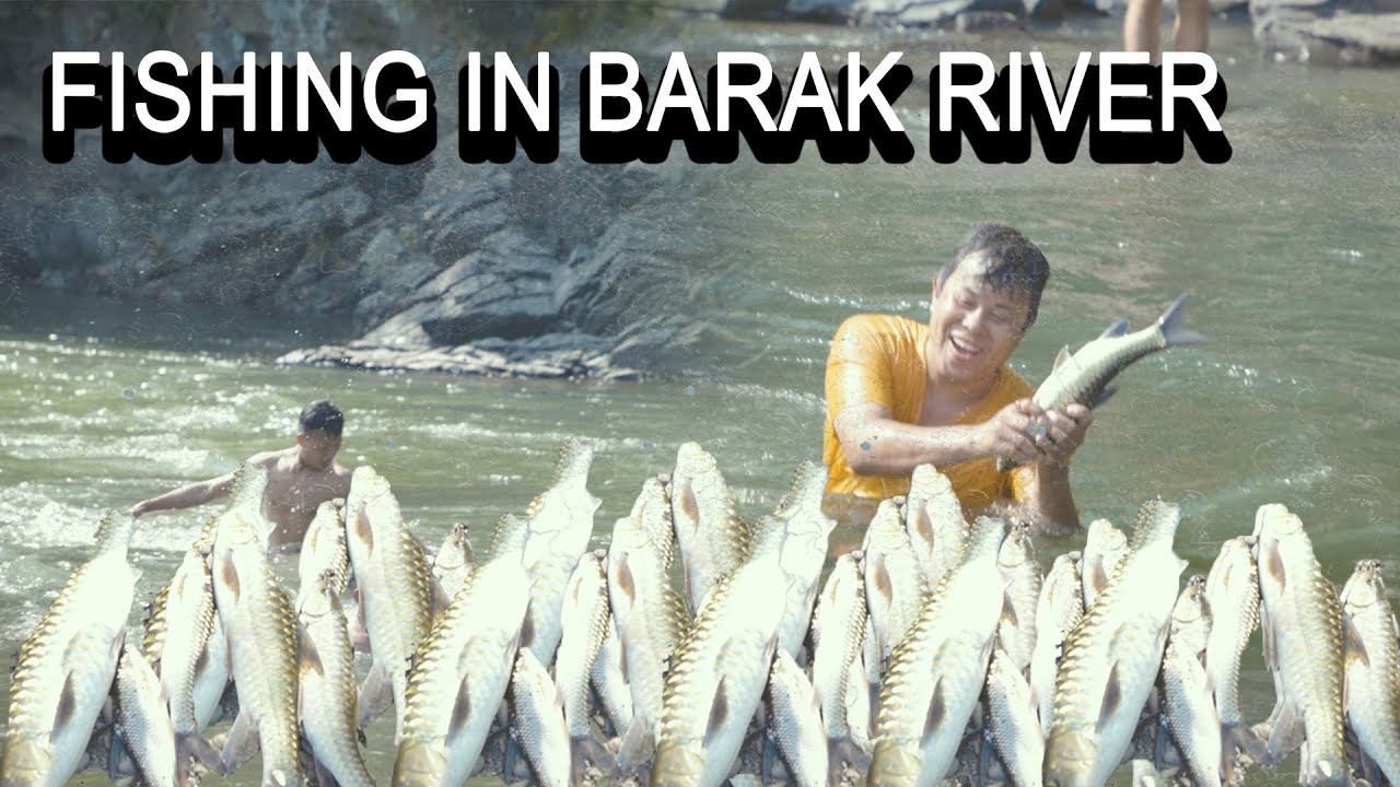 FISHING IN BARAK RIVER || BIG BIG FISH - YouTube