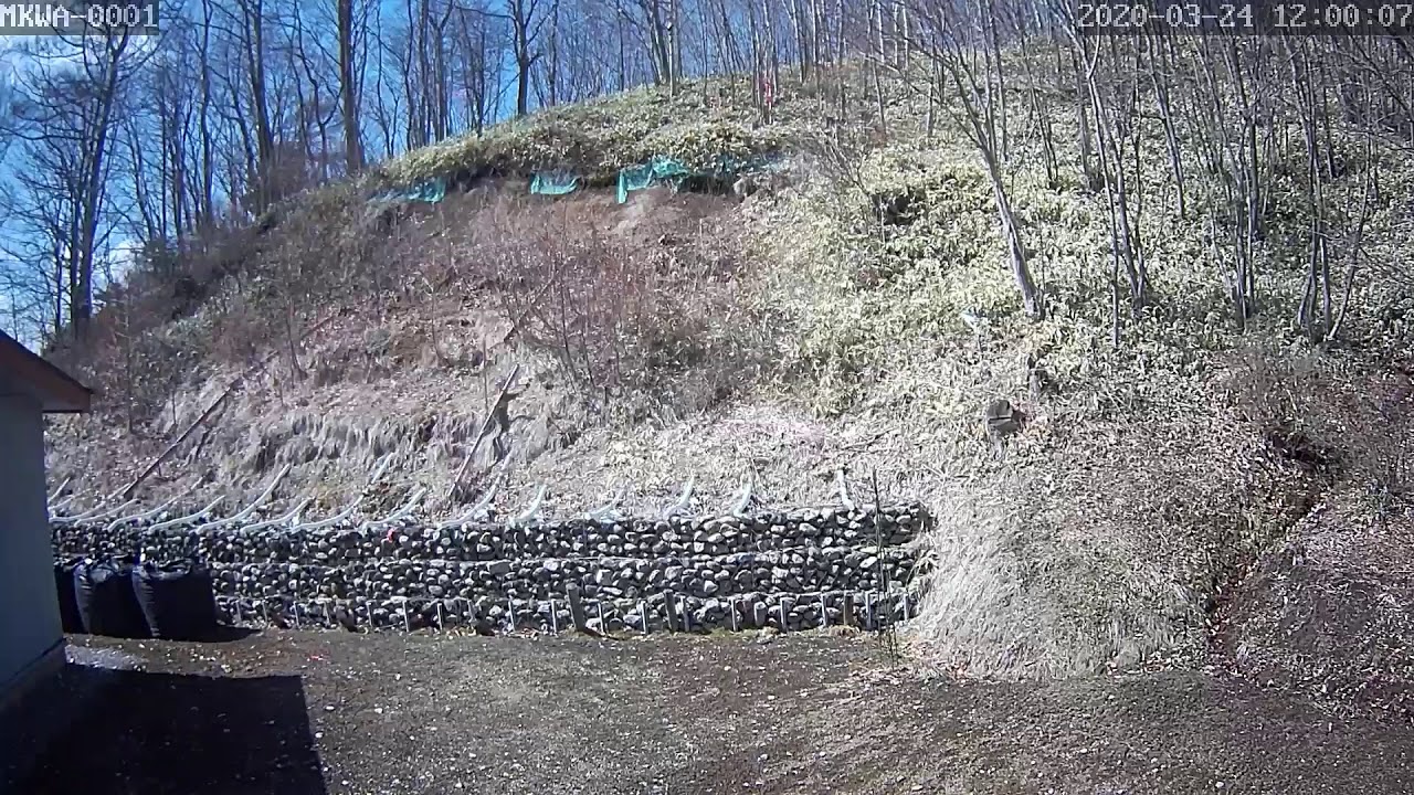 MKWA-0001 のライブ ストリーム - YouTube