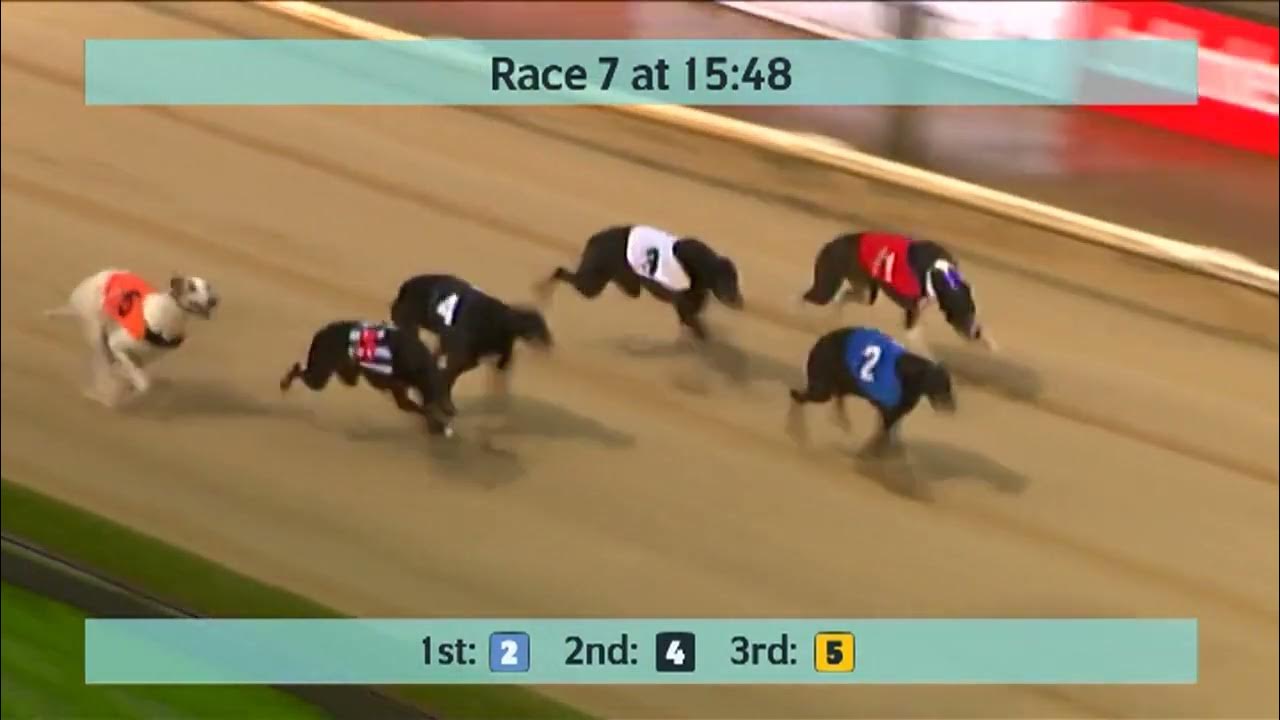 Monmore Greyhounds Races on 5th May 2023 - YouTube Monmore Greyhounds Races on 5th May 2023 - YouTube