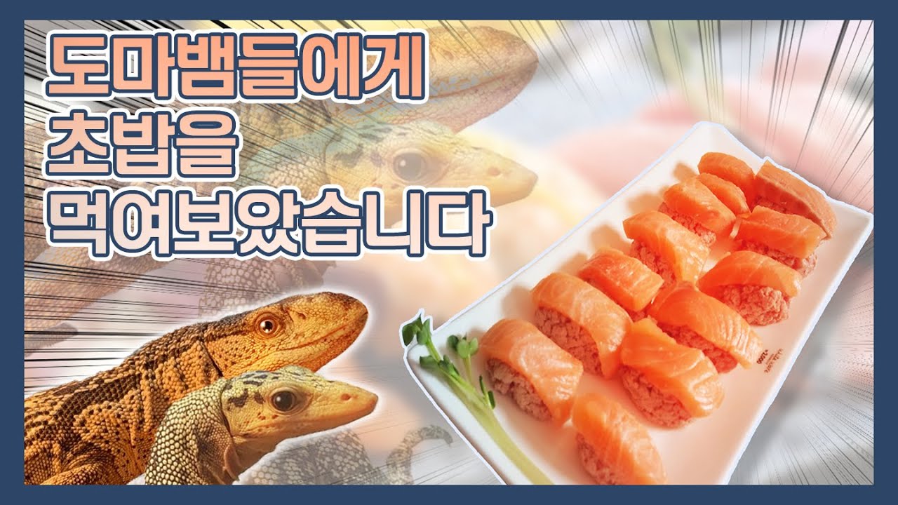 모니터도마뱀들에게 초밥을 먹여보았습니다! / I fed sushi to the monitor lizards! - YouTube