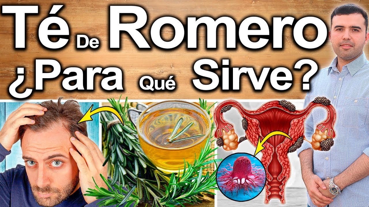TÉ DE ROMERO PARA TODO - ¿Para Qué Sirve? - Beneficios Para Tu Salud Y ...