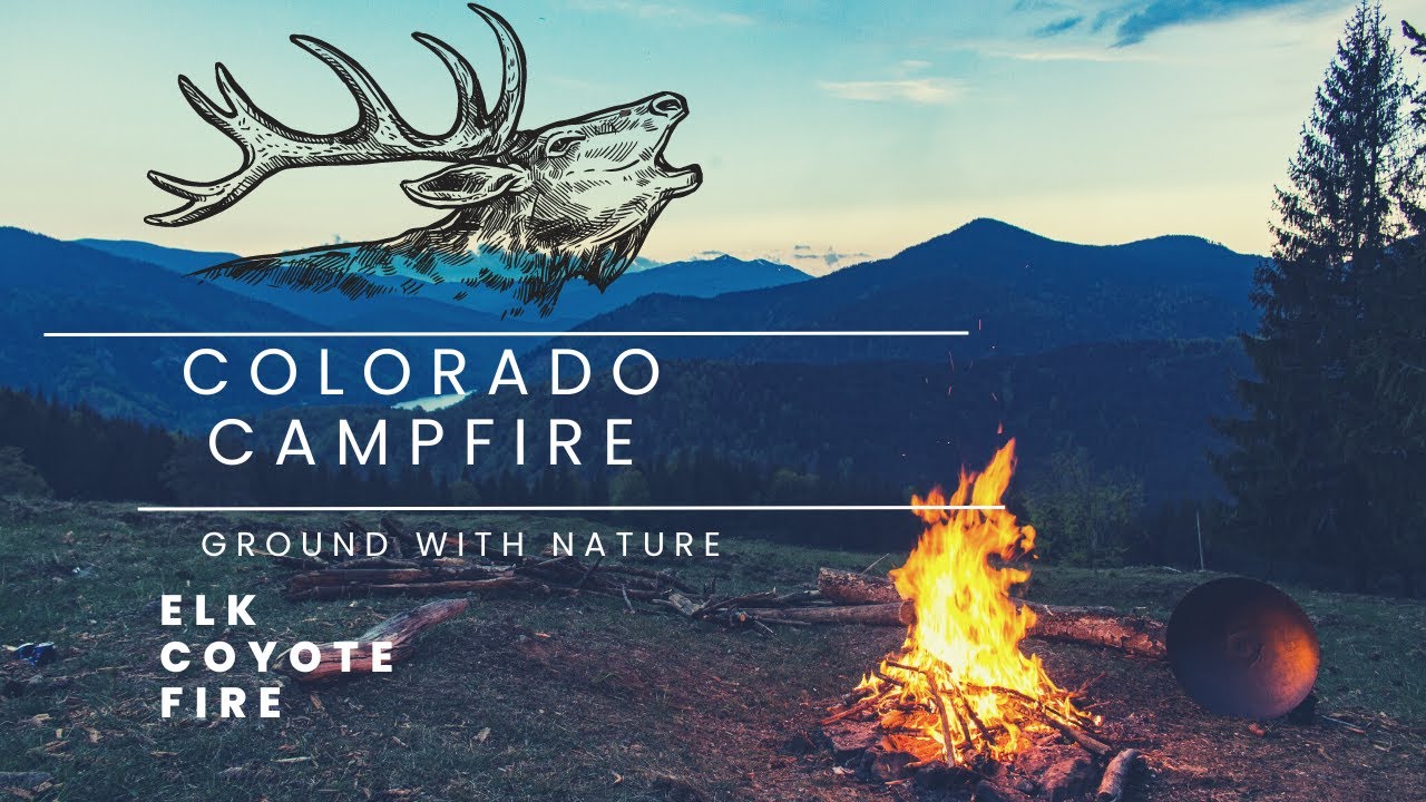 Colorado Campfire | Grounding Nature Soundscape | Elk | Coyote | Fire ...
