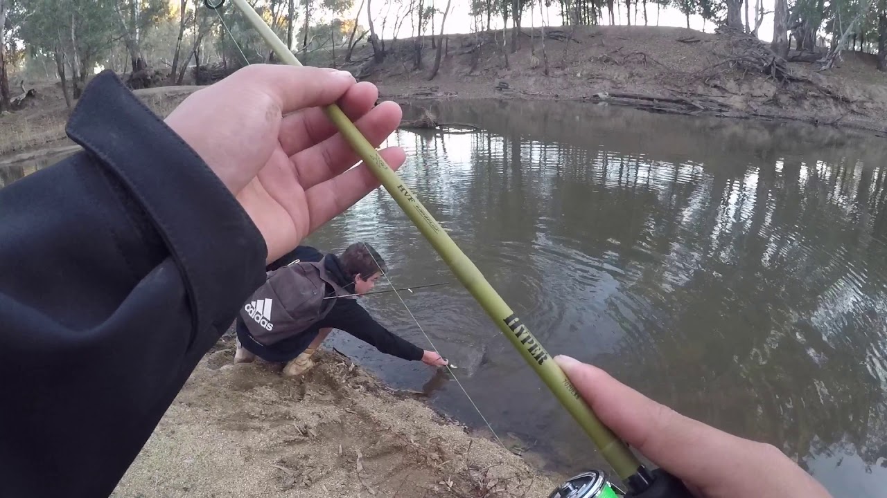 Redfin Fishing & Carp - YouTube