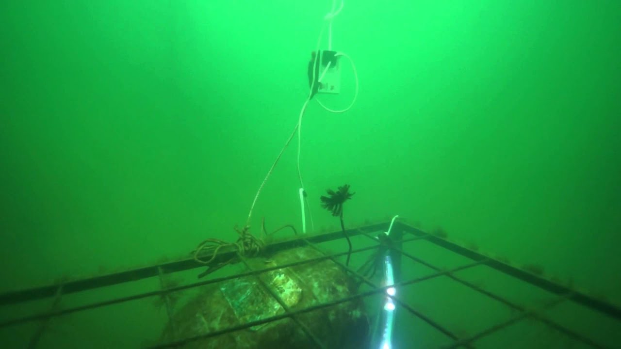 Diving led strip light - YouTube