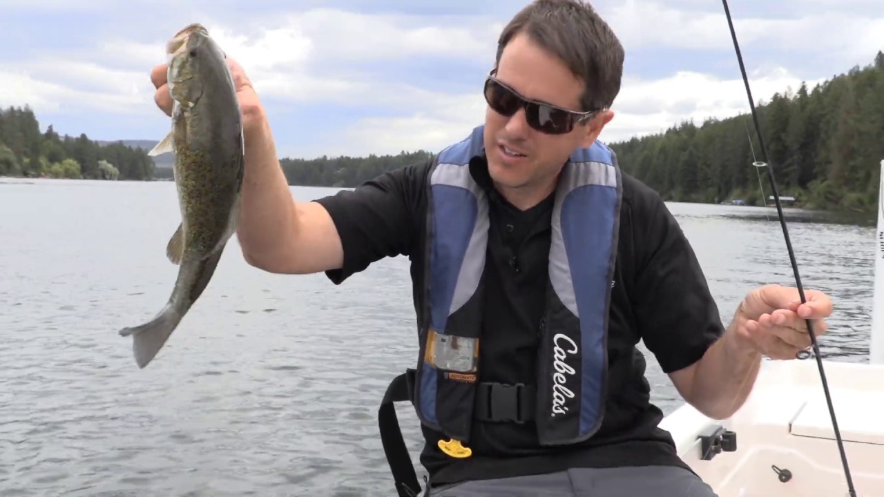#BassWeek 2020 - YouTube