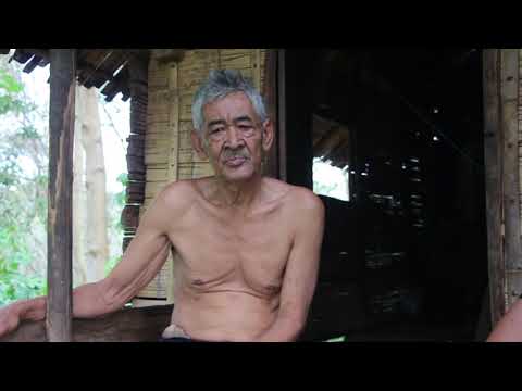 KOMPEDAM- KISAH KAKEK PEMBURU KODOK