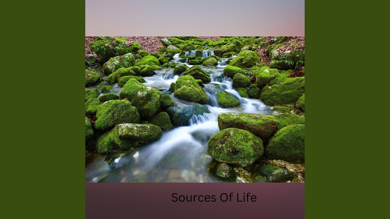 Sources Of Life - YouTube