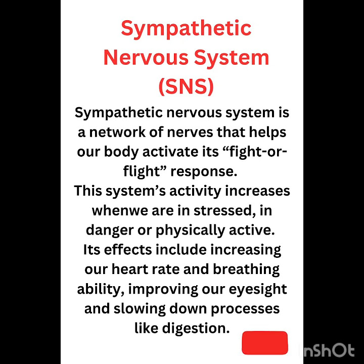 Sympathetic nervous system (SNS) 🧠#nclexreview #nursing #nclex_rn #nclex_rn #youtube - YouTube