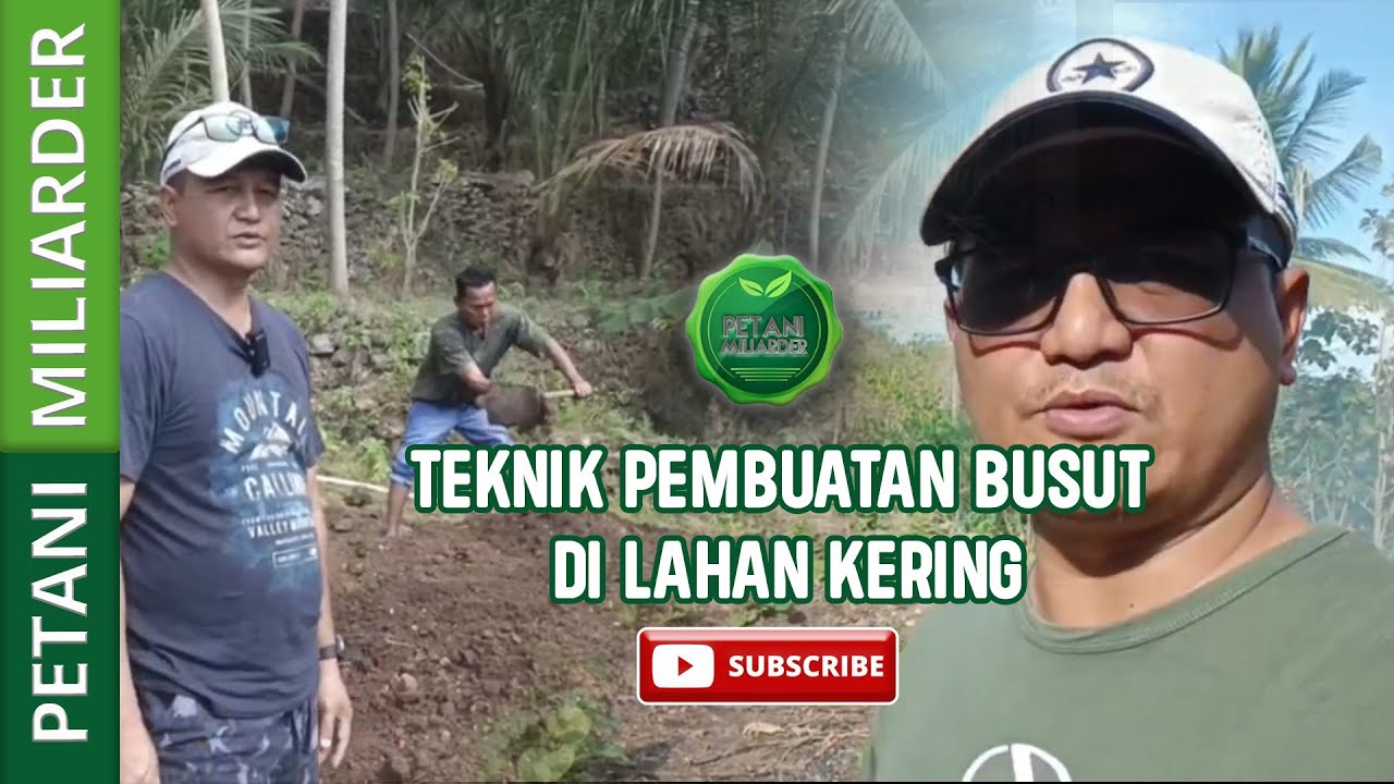 TEKNIK PEMBUATAN BUSUT DI LAHAN KERING || PETANI MILIARDER - YouTube