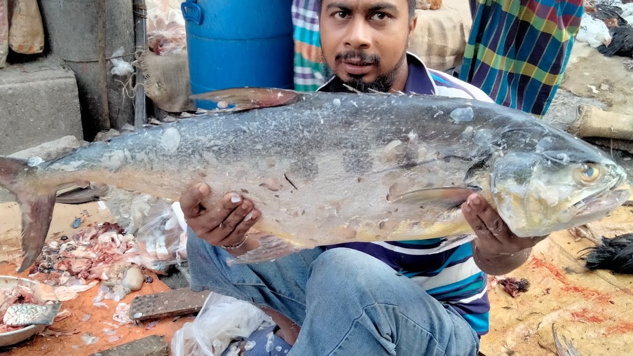 Fish cutting skills amazing Surma fish cutting fish cutting by expert ...