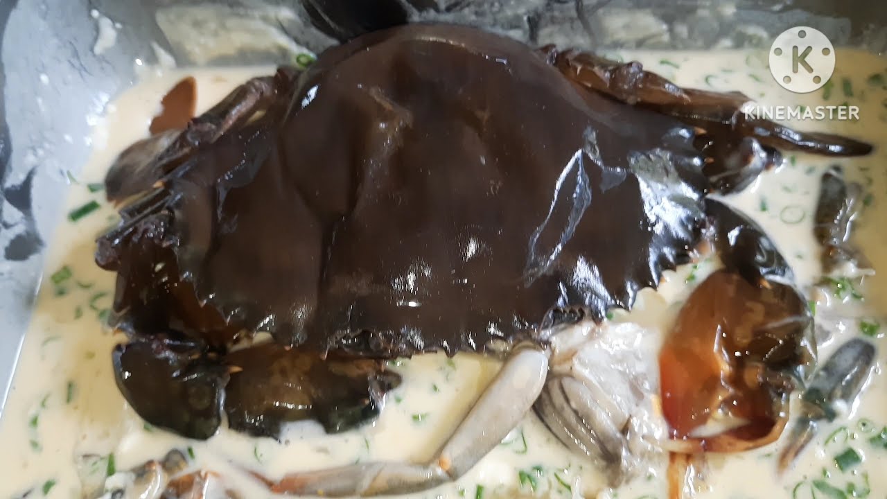 Soft shell crab breaded and deep fried - YouTube