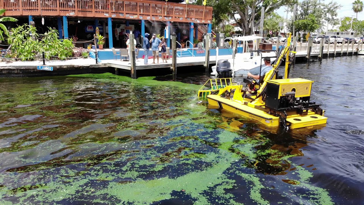 Waterway Cleaning - YouTube