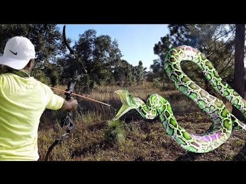 DEFENDING Florida From Invasive Pythons/Reptiles! - YouTube
