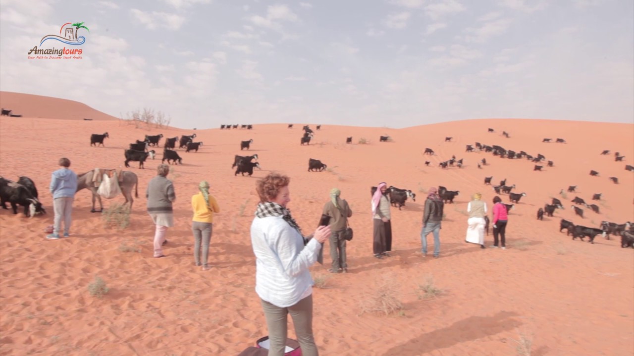 Arabian Life Experience - YouTube