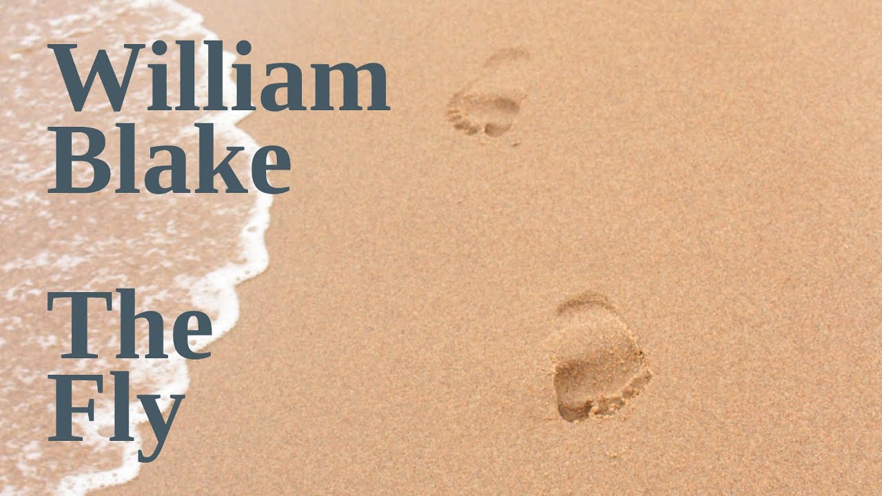 William Blake - The Fly - YouTube